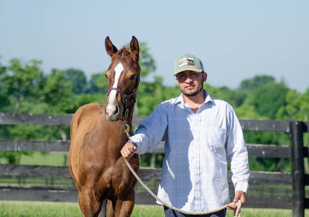 Hats – Tagged "Stallion Apparel" – The WinStar Store